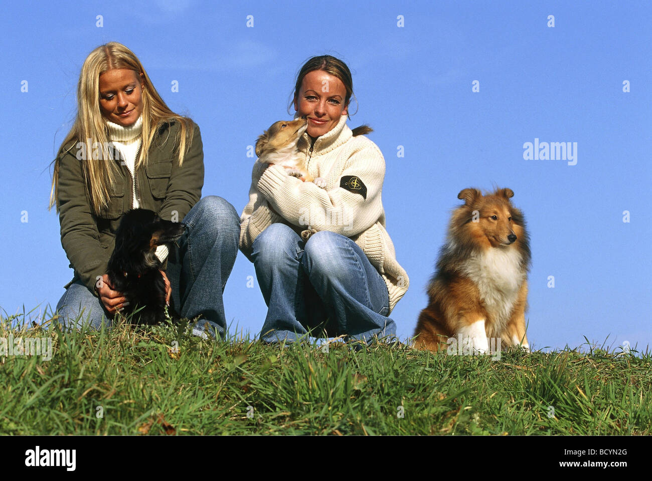 Female sheepdog hi-res stock photography and images - Alamy