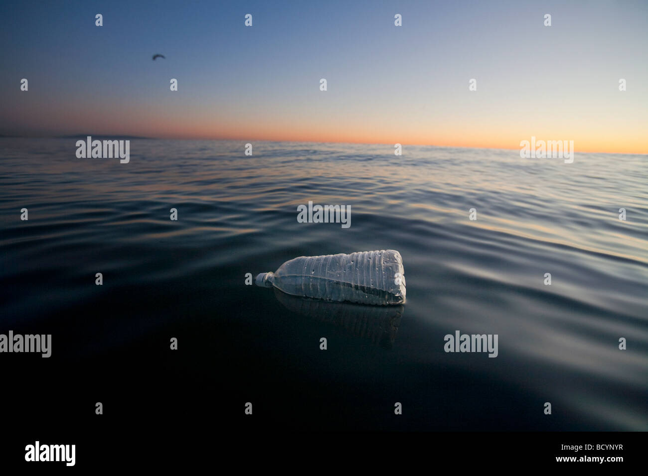 Plastic Water Bottle Floating in Pacific Ocean, Santa Monica ...