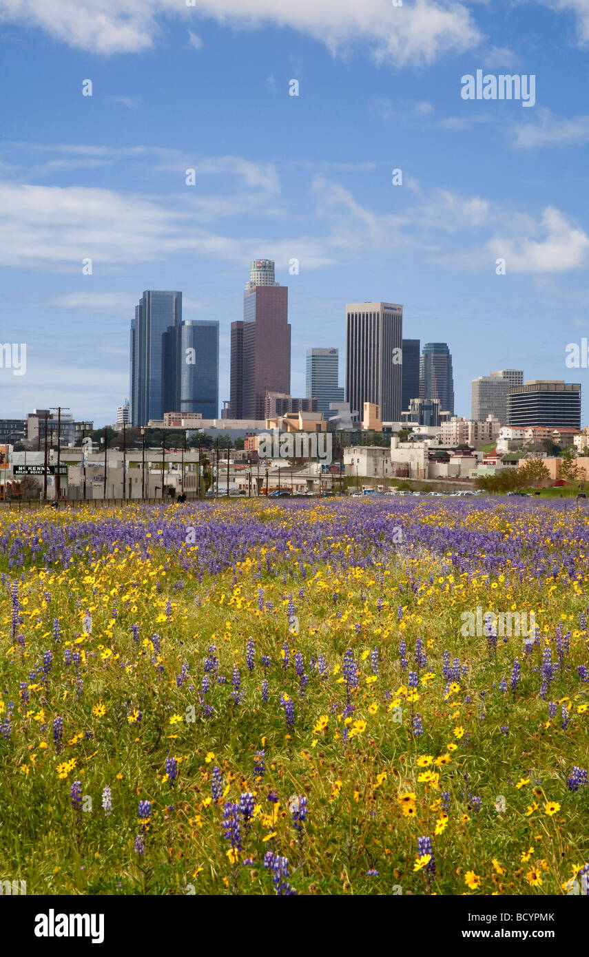 Los Angeles State Historic Park