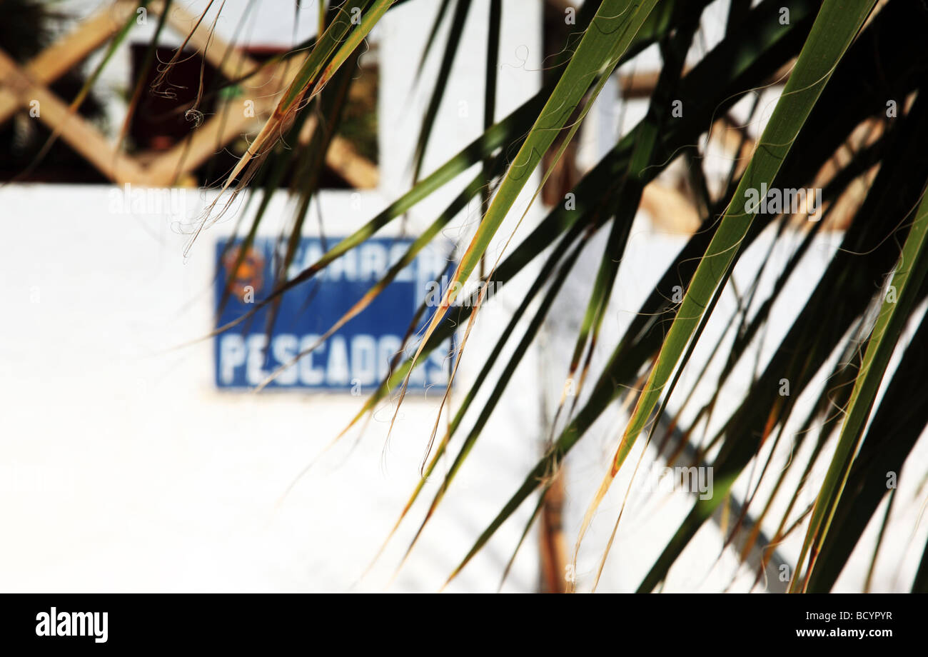 A Spanish street sign with a palm frond in front Stock Photo - Alamy