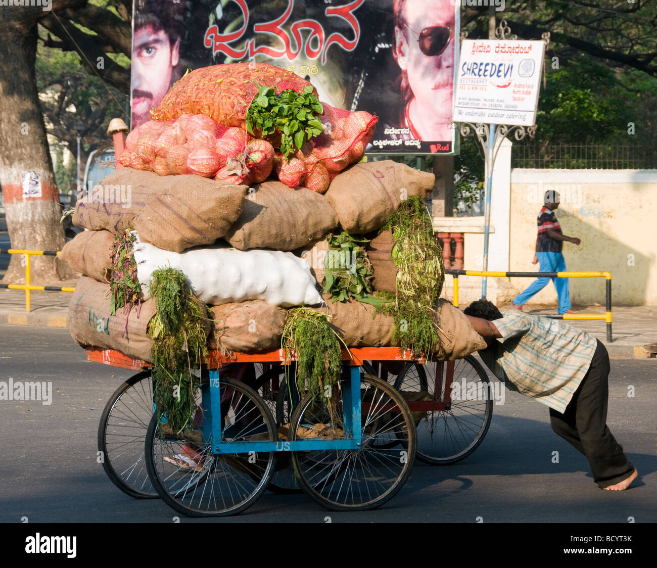 A man pushing a cart of vegetables to market in India Stock Photo - Alamy