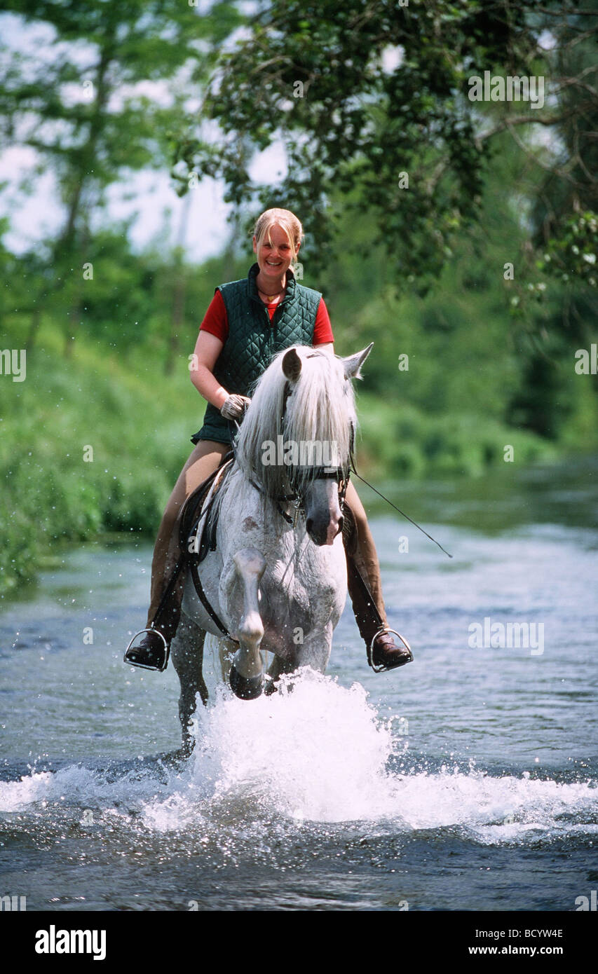 horse with rider Stock Photo - Alamy