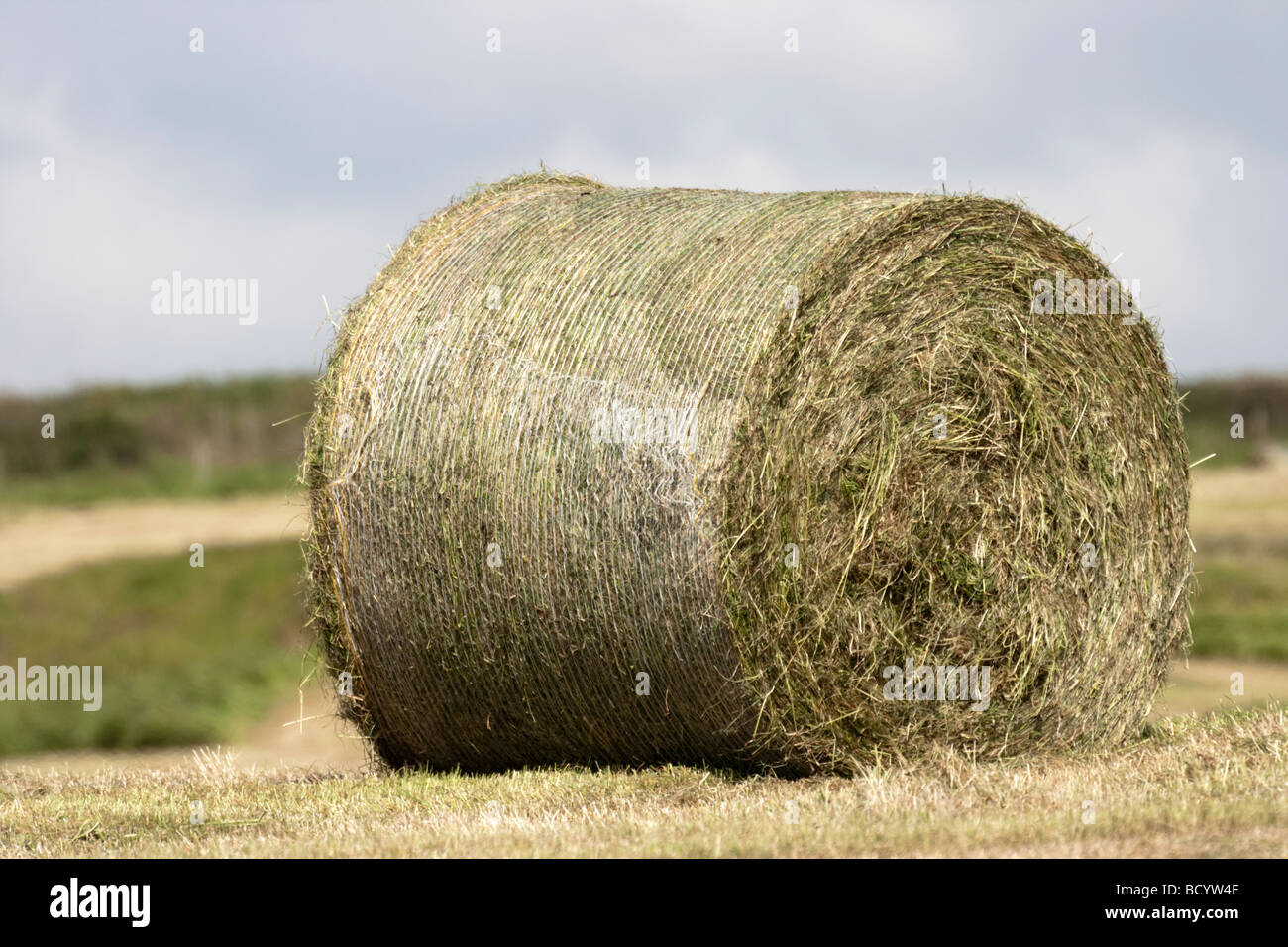 Hay bale straw bale hi-res stock photography and images - Alamy