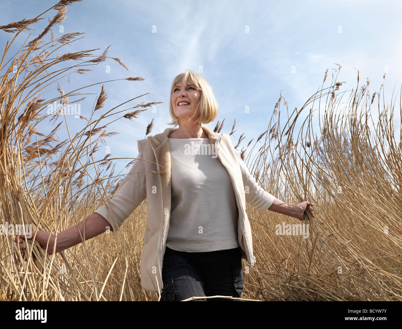 Reeds arms hi-res stock photography and images - Alamy