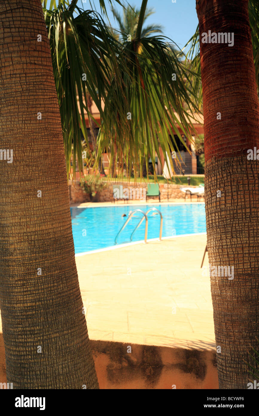 Swimming pool seen through two palm trees Stock Photo - Alamy