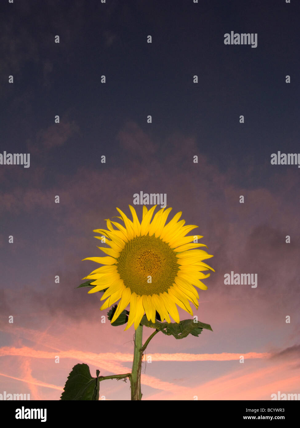 Brooding sunset hi-res stock photography and images - Alamy