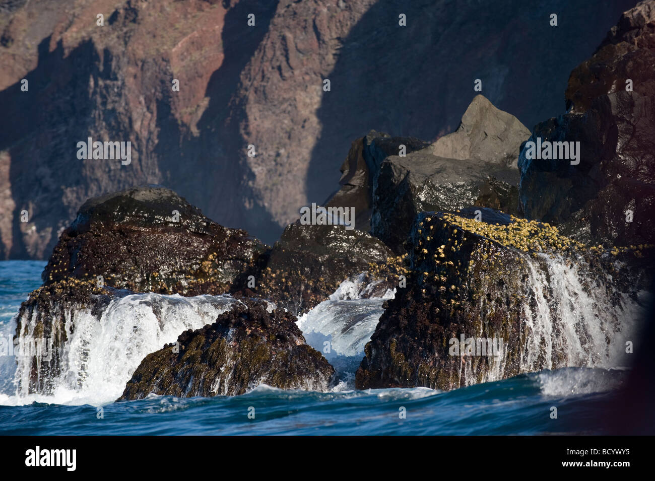 Ocean Meets Cliffs of Punta Vincente Roca Isabela Galapagos Ecuador ...