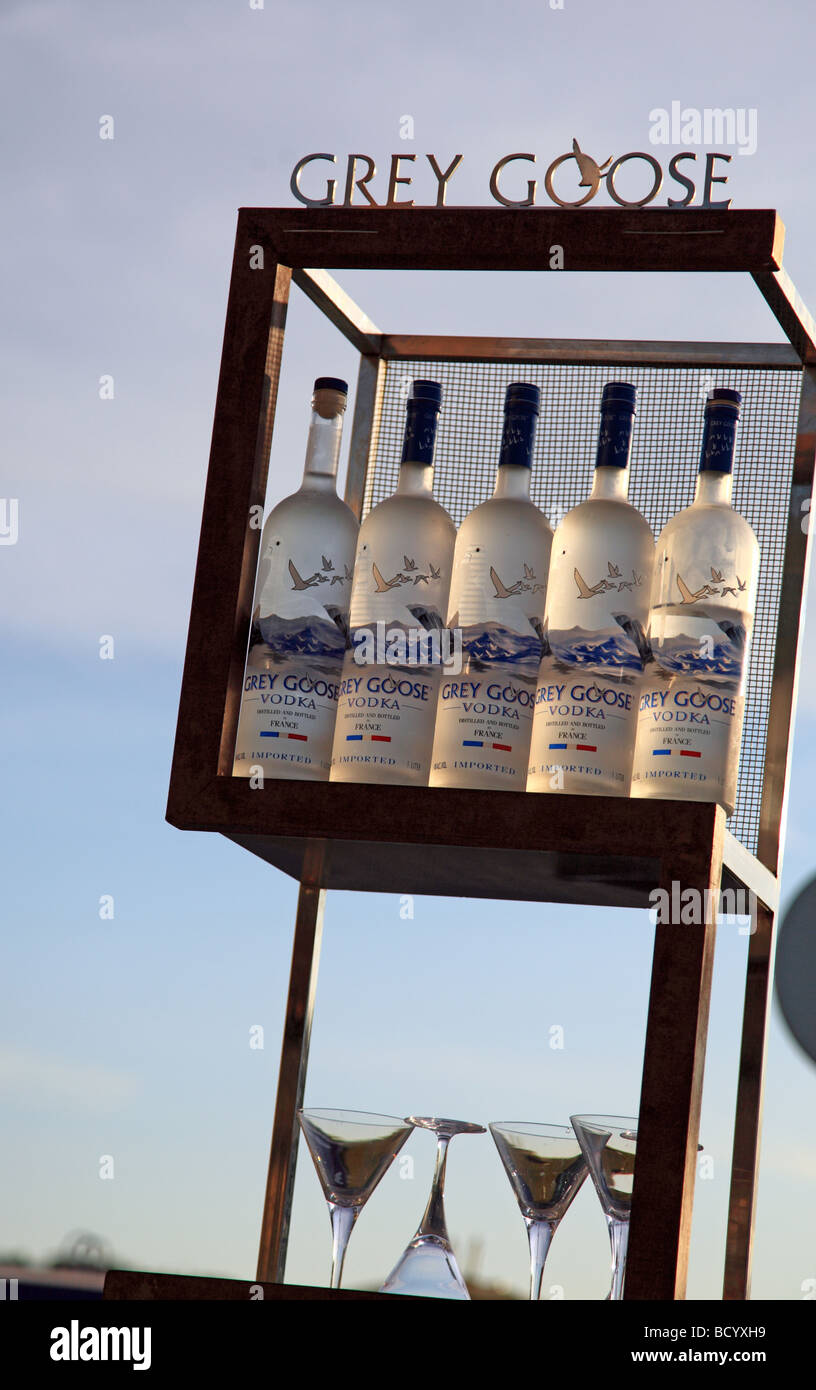 Bottles of vodka on a rack with cocktail glasses Stock Photo - Alamy