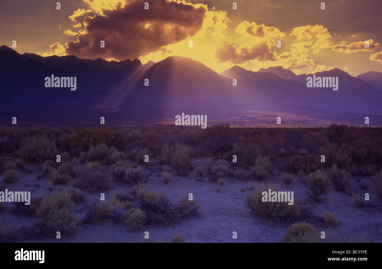 Atmospheric lifetime hi-res stock photography and images - Alamy