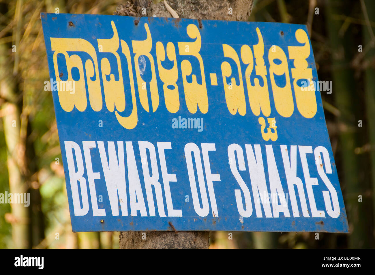 Beware of snakes sign in India Stock Photo - Alamy
