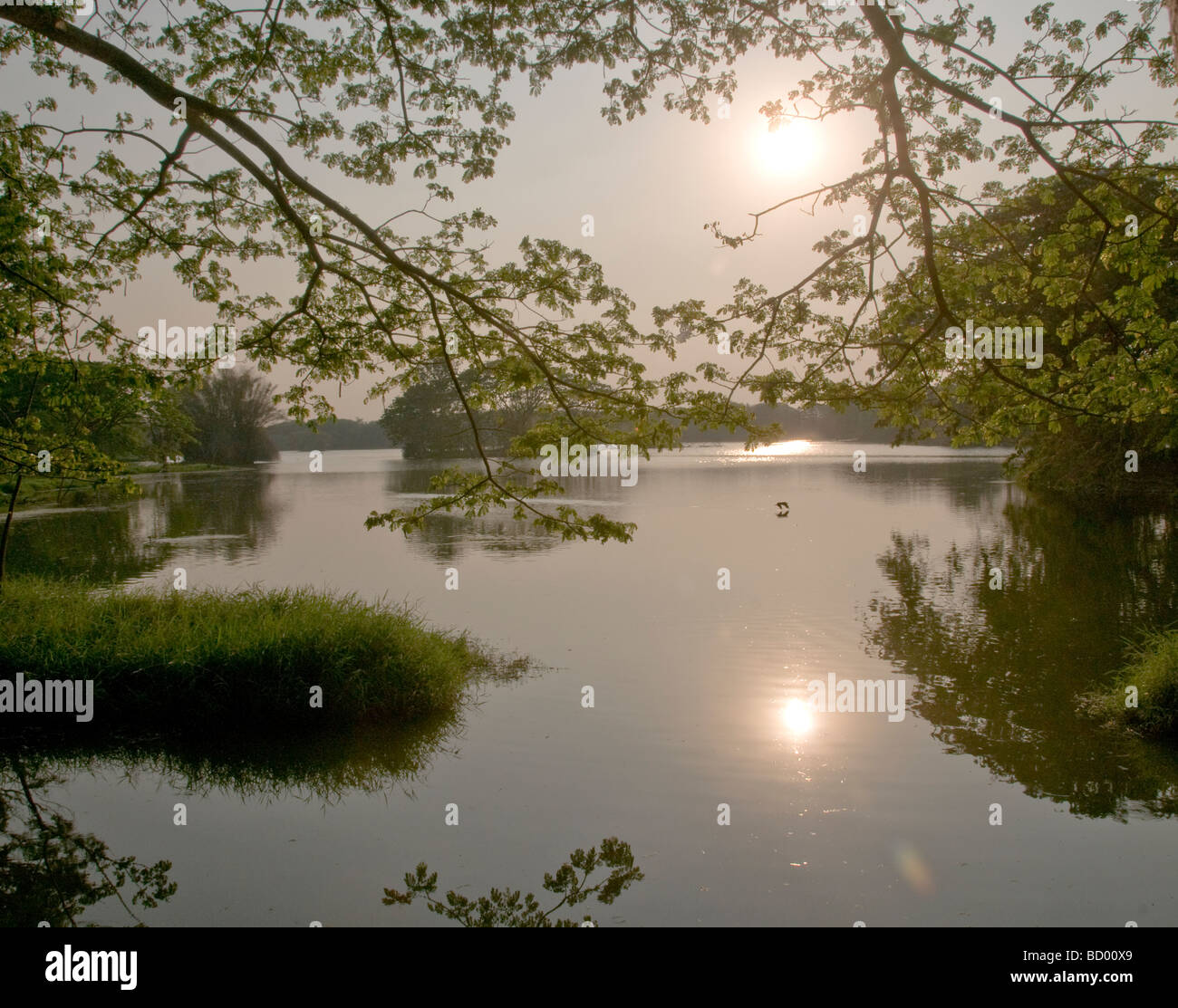 Ranganthittu Bird Sanctuary Mysore in India Stock Photo - Alamy