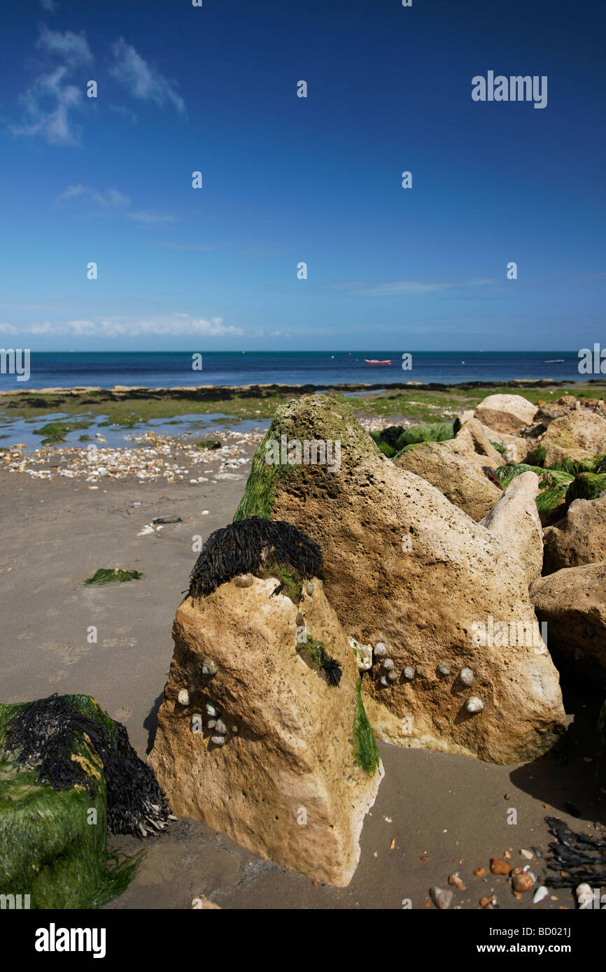 Natural rocks on Bembridge beach, Isle of Wight Stock Photo - Alamy