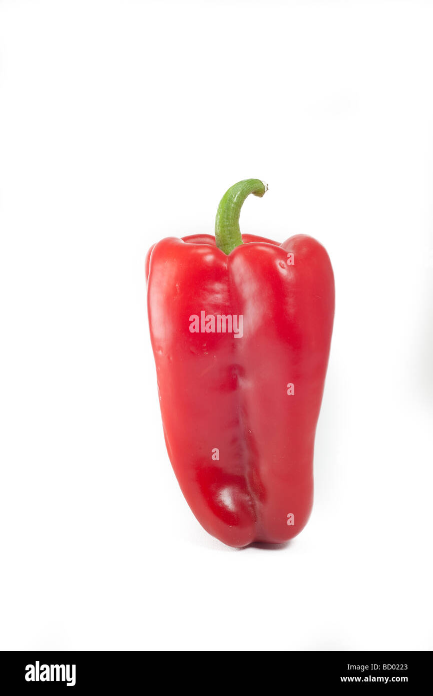 home grown red bell pepper vegetable standing upright on end isolated ...