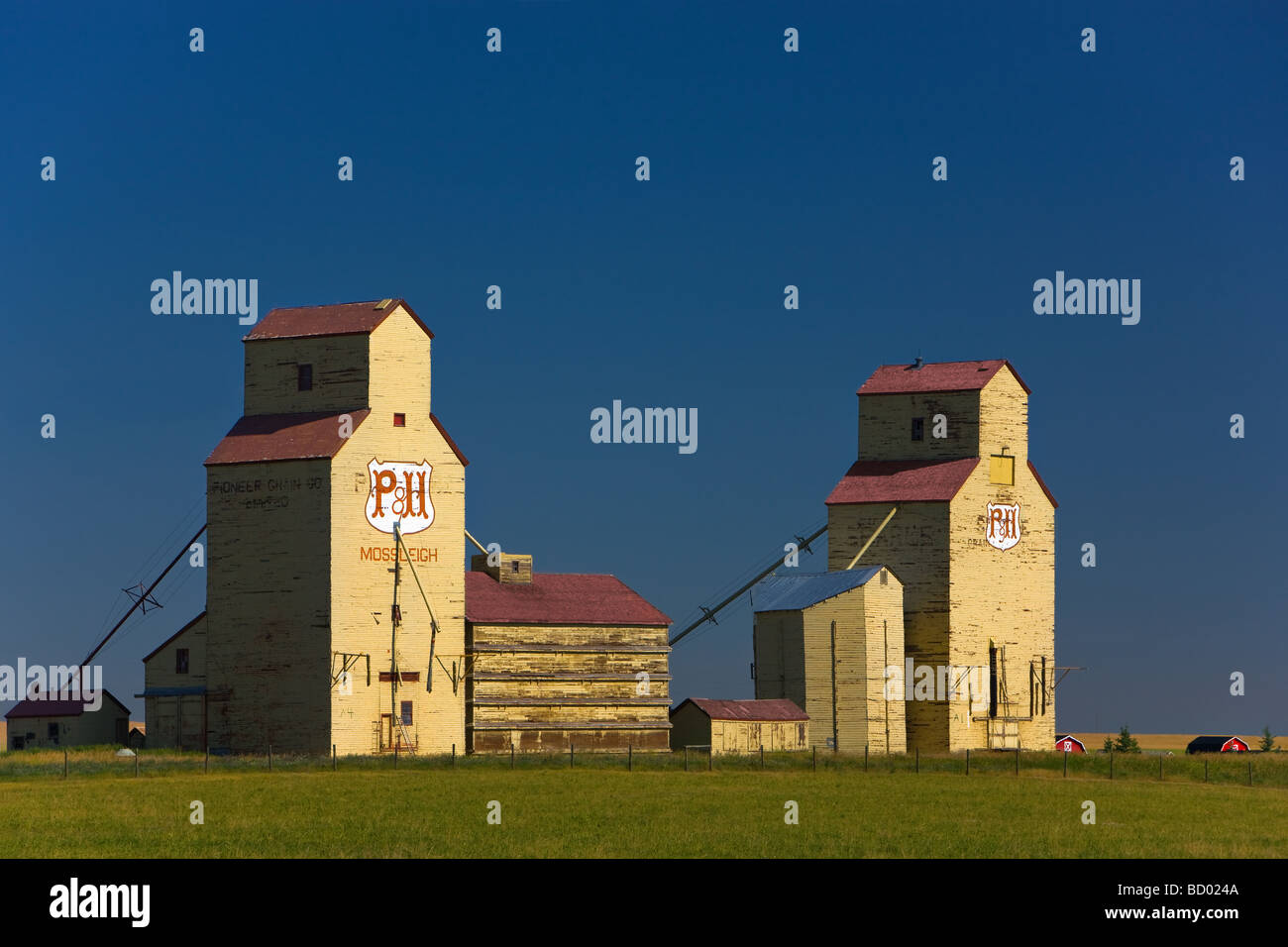 Grain Elevators at Mossleigh, Alberta, Canada Stock Photo - Alamy