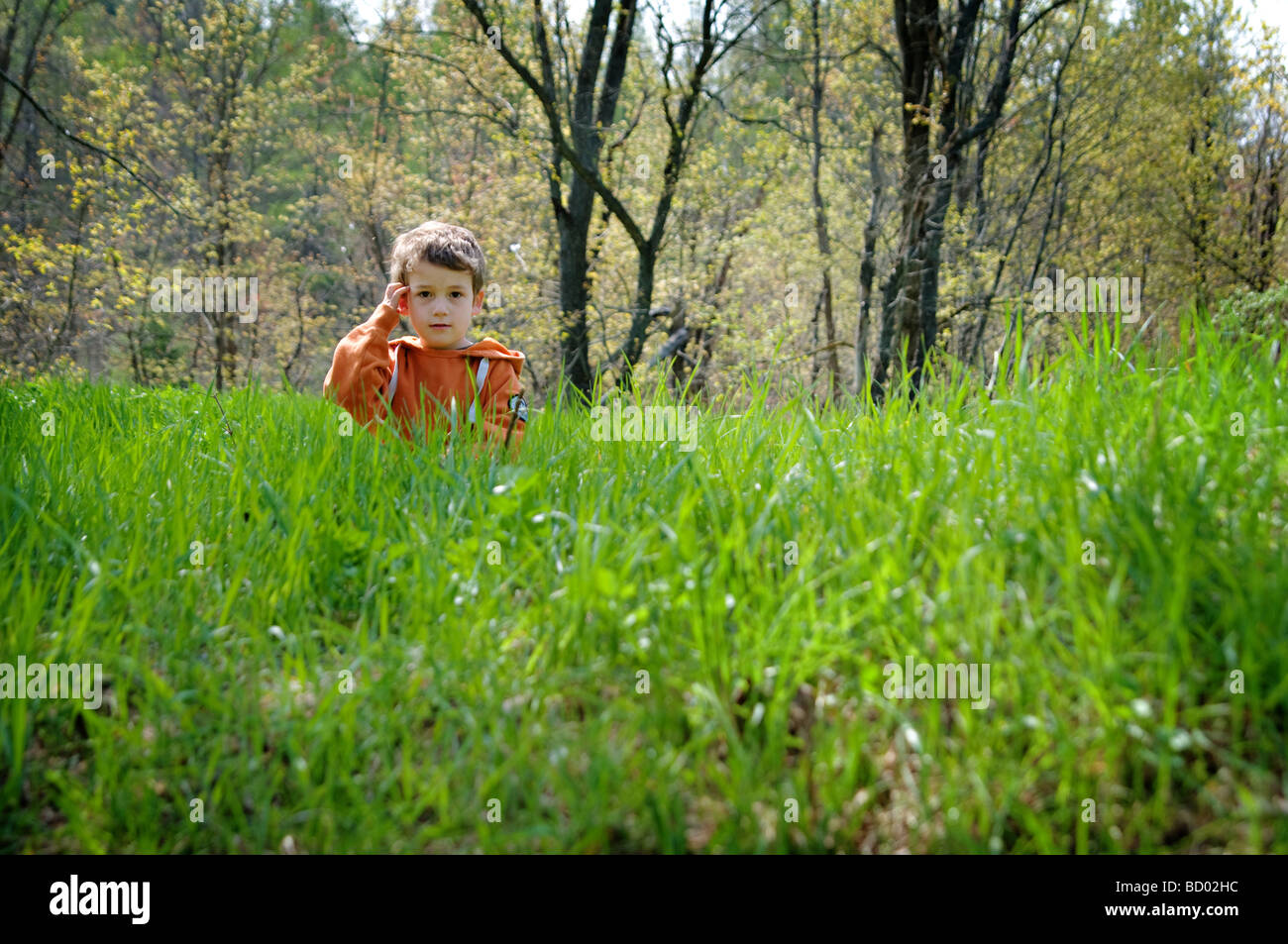 boy sitting in a green grassy field Stock Photo - Alamy