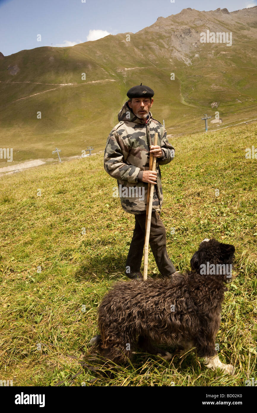 A shepherd and its dog watches a herd of sheeps Stock Photo - Alamy