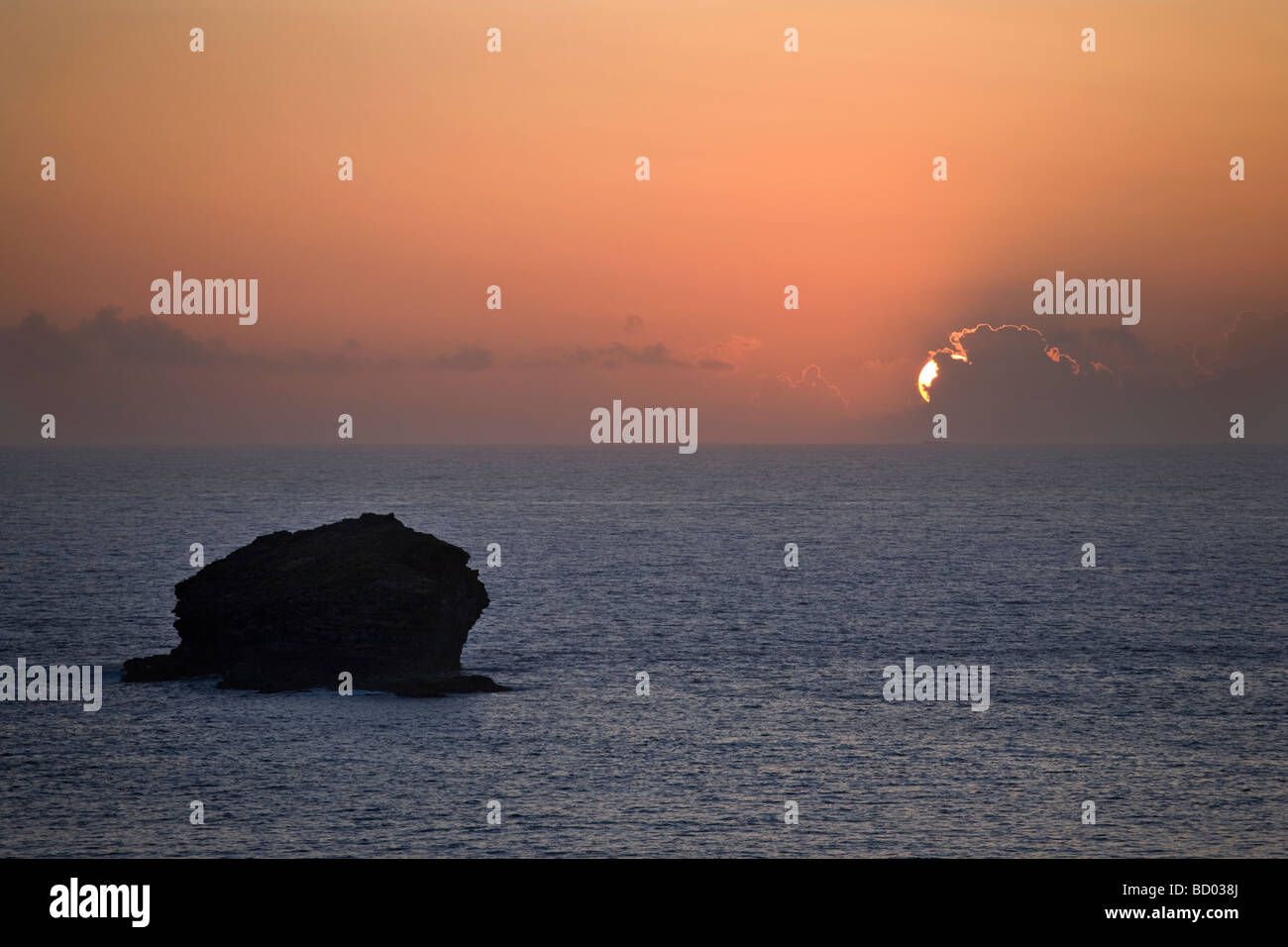 Gull rock portreath hi-res stock photography and images - Alamy