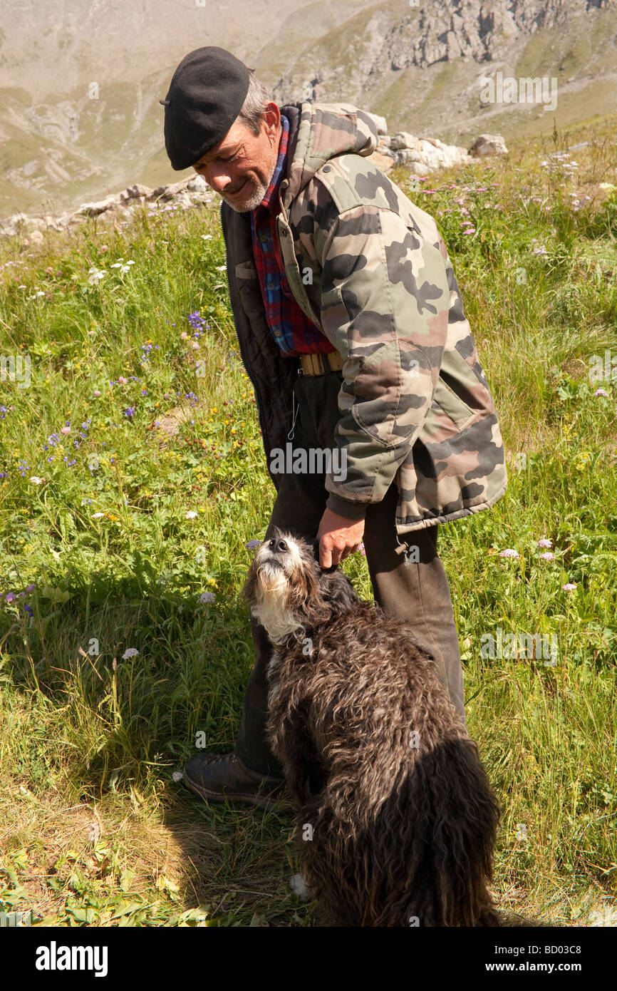 Shepherd dog watches herd hi-res stock photography and images - Alamy