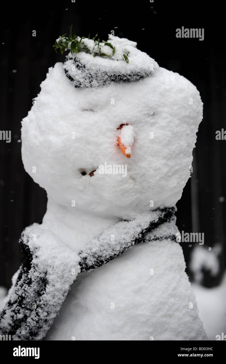 Snowman carrot nose hi-res stock photography and images - Alamy