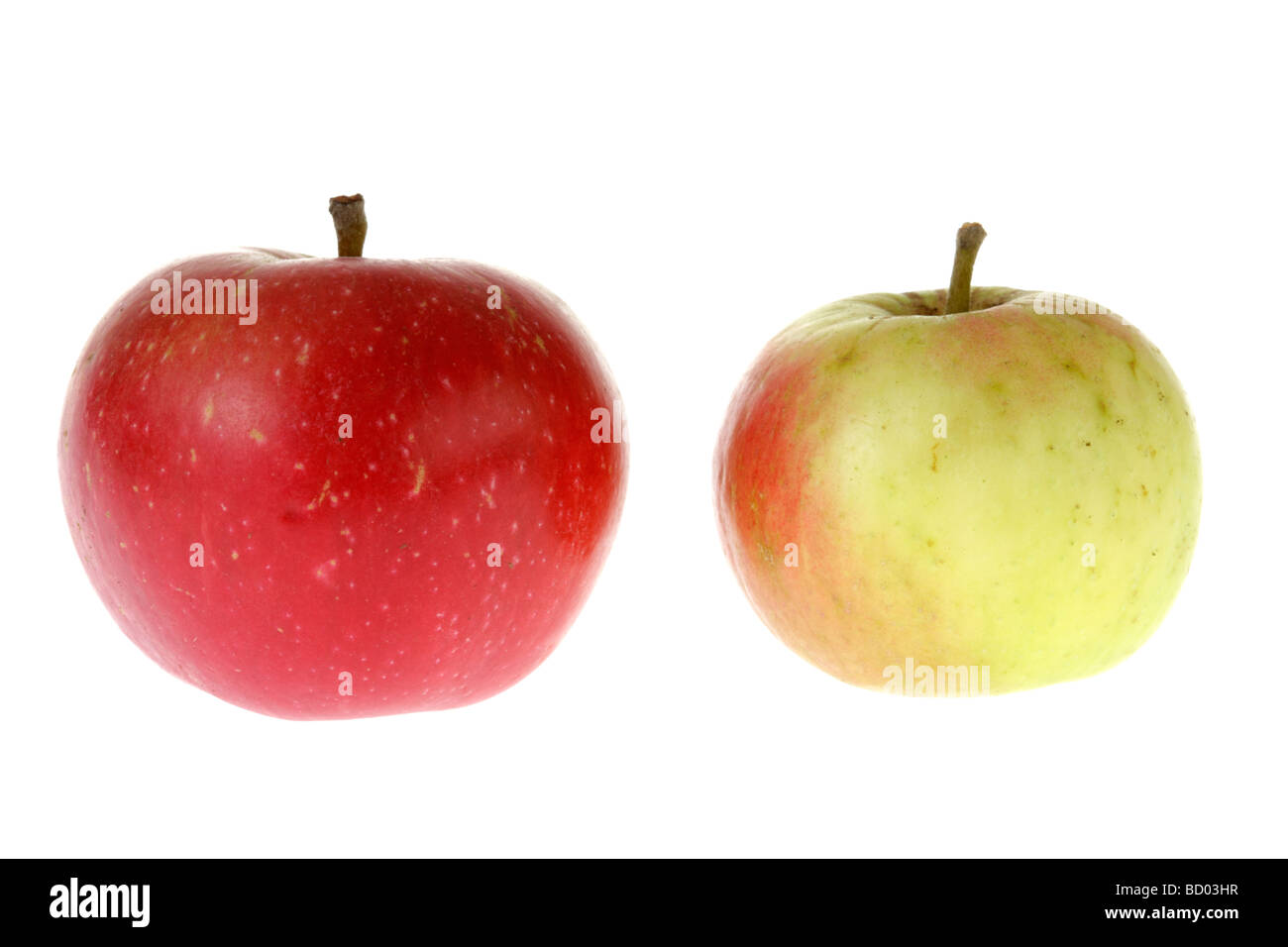 Two apples hi-res stock photography and images - Alamy
