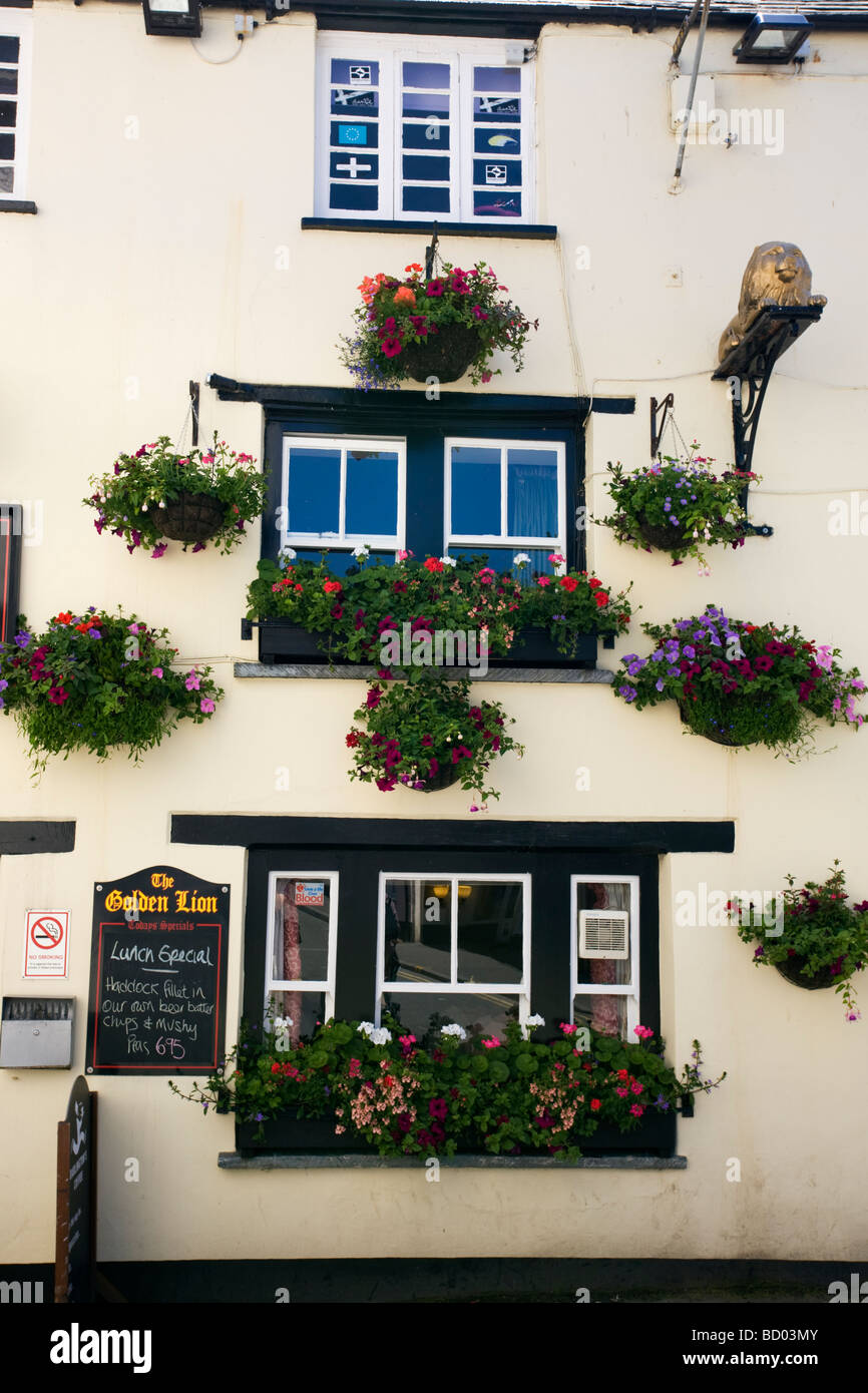 Floral display on Golden Lion Pub in Padstow Cornwall Stock Photo - Alamy