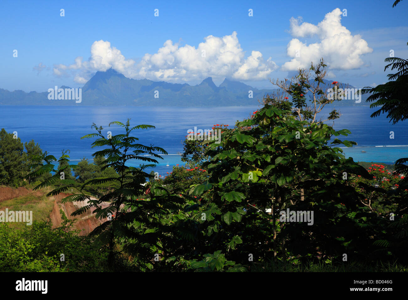 Moorea view from Tahiti, French Polynesia Stock Photo - Alamy