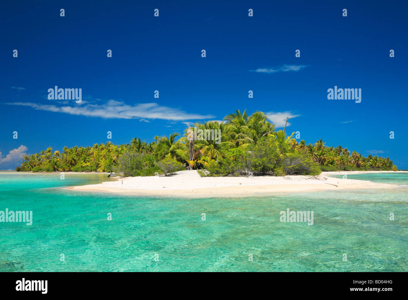 Beach in Rangiroa, Tuamotu Archipelago, French Polynesia Stock Photo ...