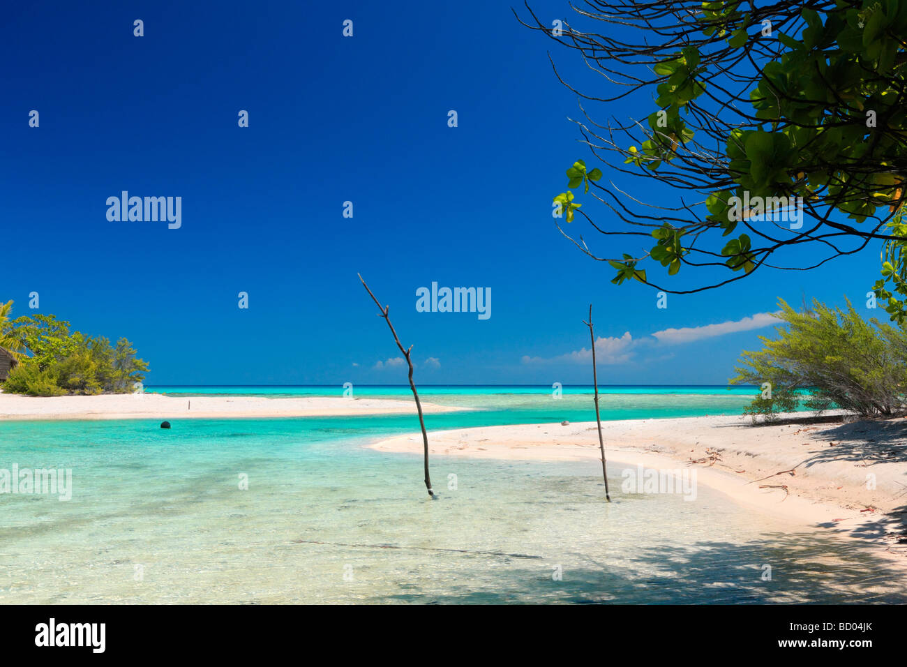 Islas rangiroa tuamotu hi-res stock photography and images - Alamy