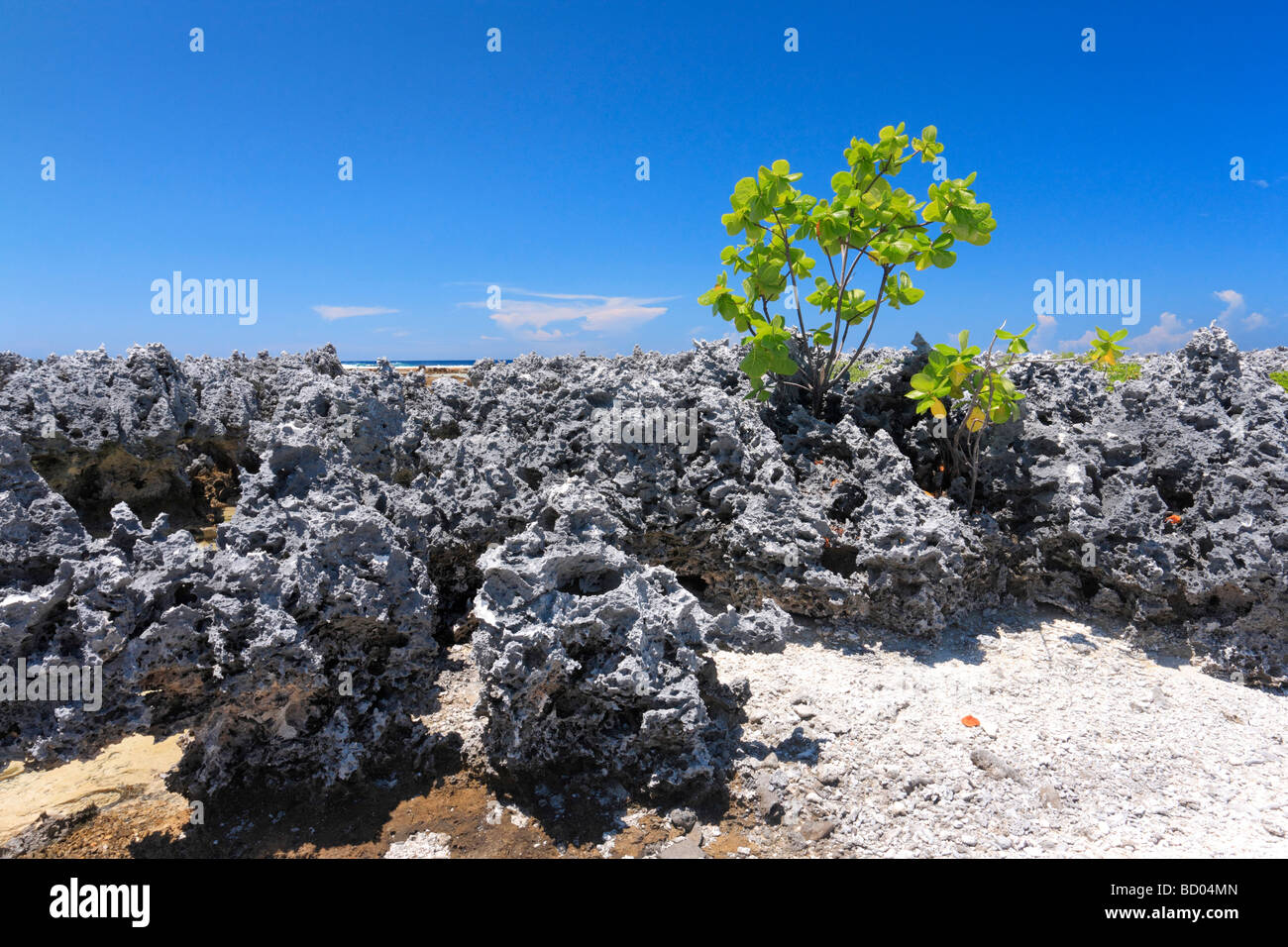 Plages paradisiaques hi-res stock photography and images - Alamy