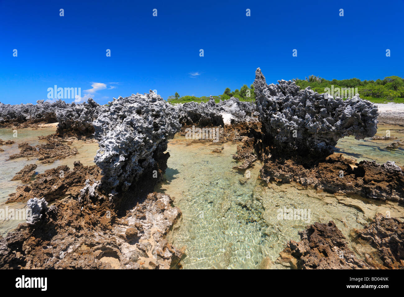 Reef rocks in Rangiroa, Tuamotu Archipelago, French Polynesia Stock ...