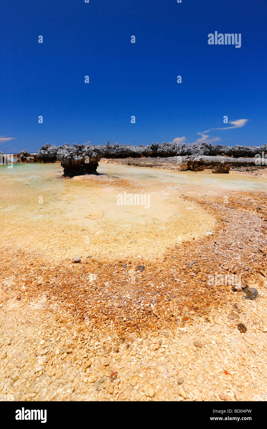 Reef rocks in Rangiroa, Tuamotu Archipelago, French Polynesia Stock ...