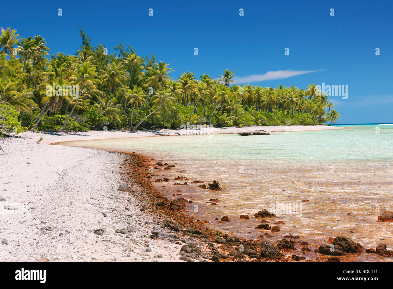 Beach in Rangiroa, Tuamotu Archipelago, French Polynesia Stock Photo ...