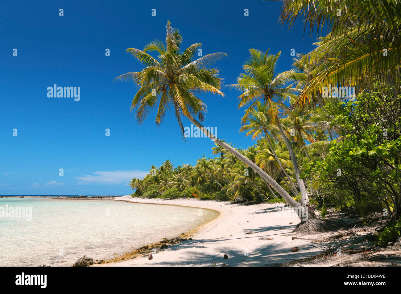 Plages paradisiaques hi-res stock photography and images - Alamy