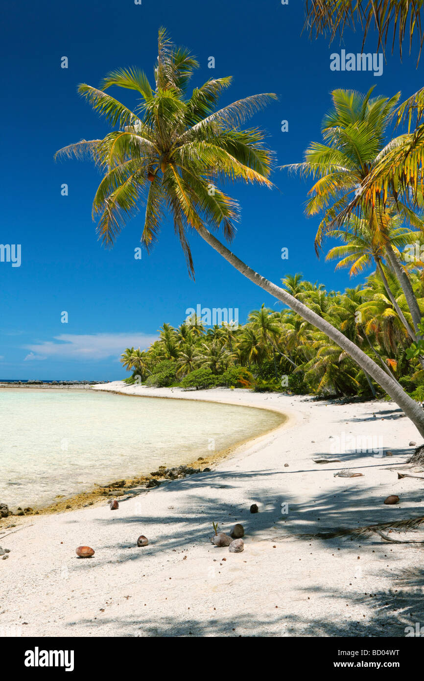 Plages paradisiaques hi-res stock photography and images - Alamy