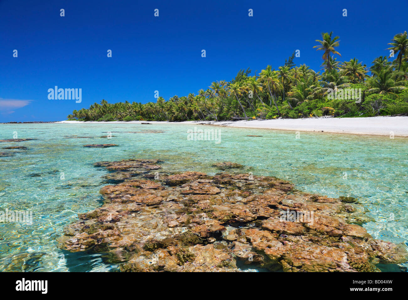 Coral and beach, Rangiroa, Tuamotu Archipelago, French Polynesia Stock ...