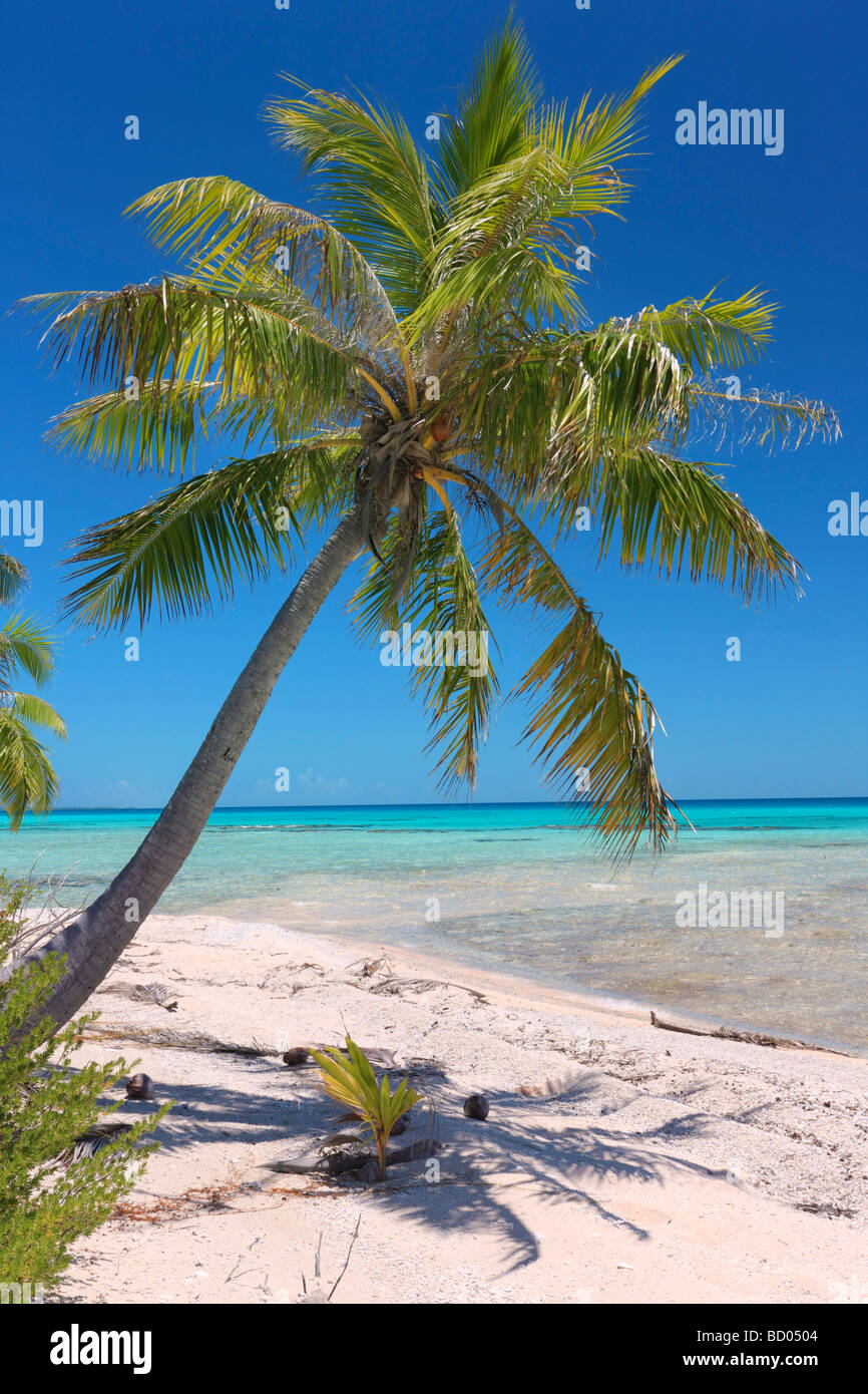 Plages paradisiaques hi-res stock photography and images - Alamy