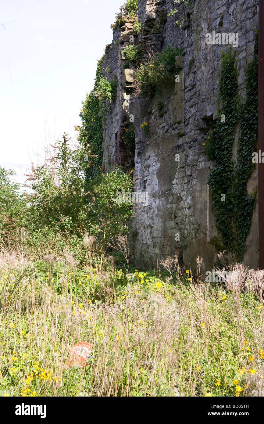 Limerick town hi-res stock photography and images - Alamy