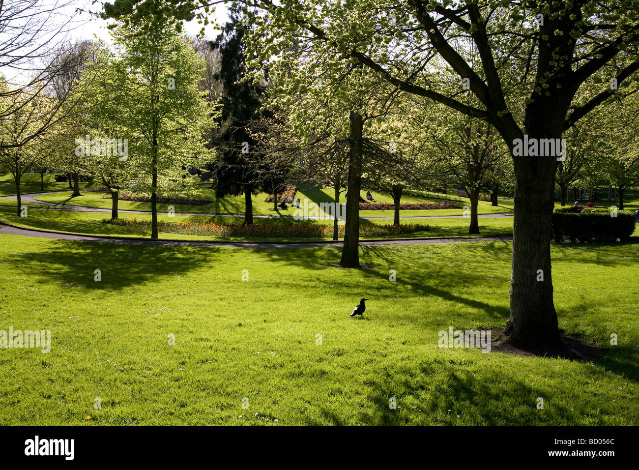 County limerick ireland hi-res stock photography and images - Alamy