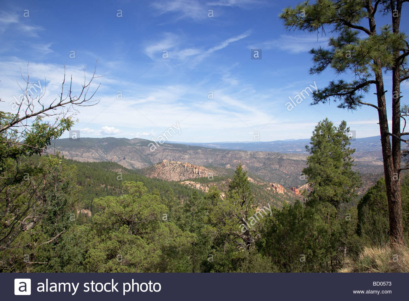Gila National Forest High Resolution Stock Photography and Images - Alamy