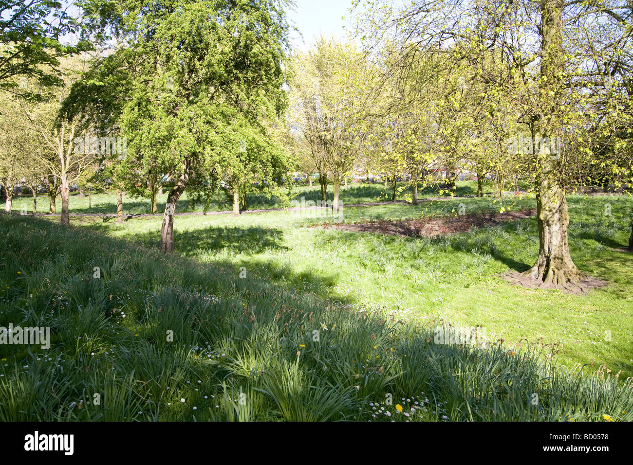County limerick ireland hi-res stock photography and images - Alamy