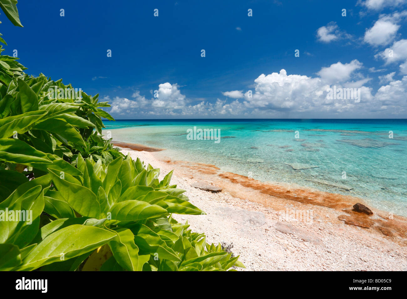 Lagune de fakarava hi-res stock photography and images - Alamy