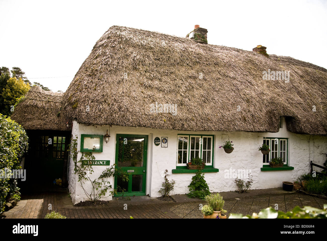 Irish cottage garden hi-res stock photography and images - Alamy