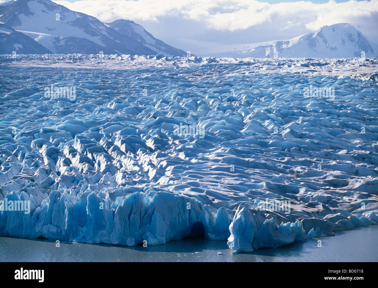Scarp of the Grey Glacier in the Torres del Paine National Park ...