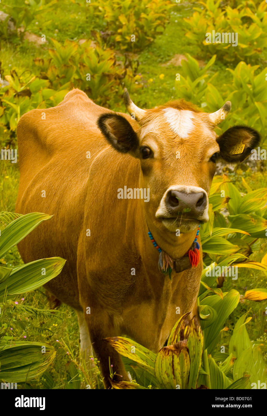 Kachkar hi-res stock photography and images - Alamy