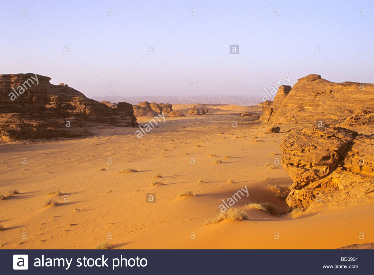 Saudi Arabian Peninsula Stock Photos & Saudi Arabian Peninsula Stock ...