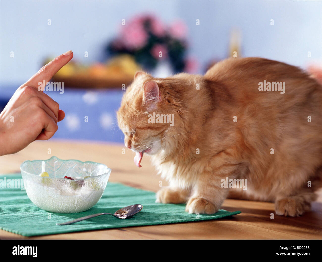 To educate plates hi-res stock photography and images - Alamy