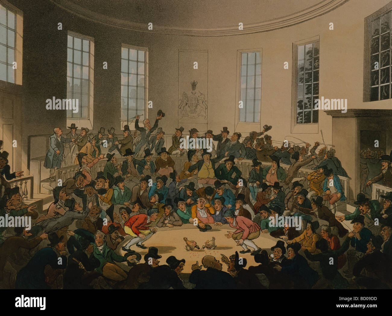 The Royal Cockpit High Resolution Stock Photography and Images - Alamy