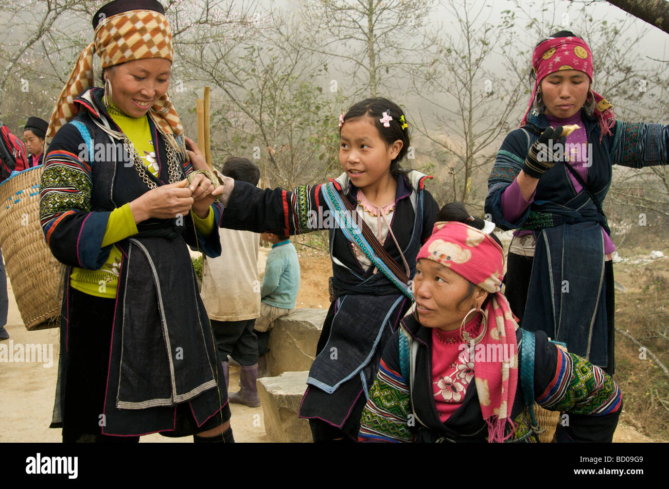 A group of Happy Hmong women mountain guides in Sapa Northern Vietnam ...
