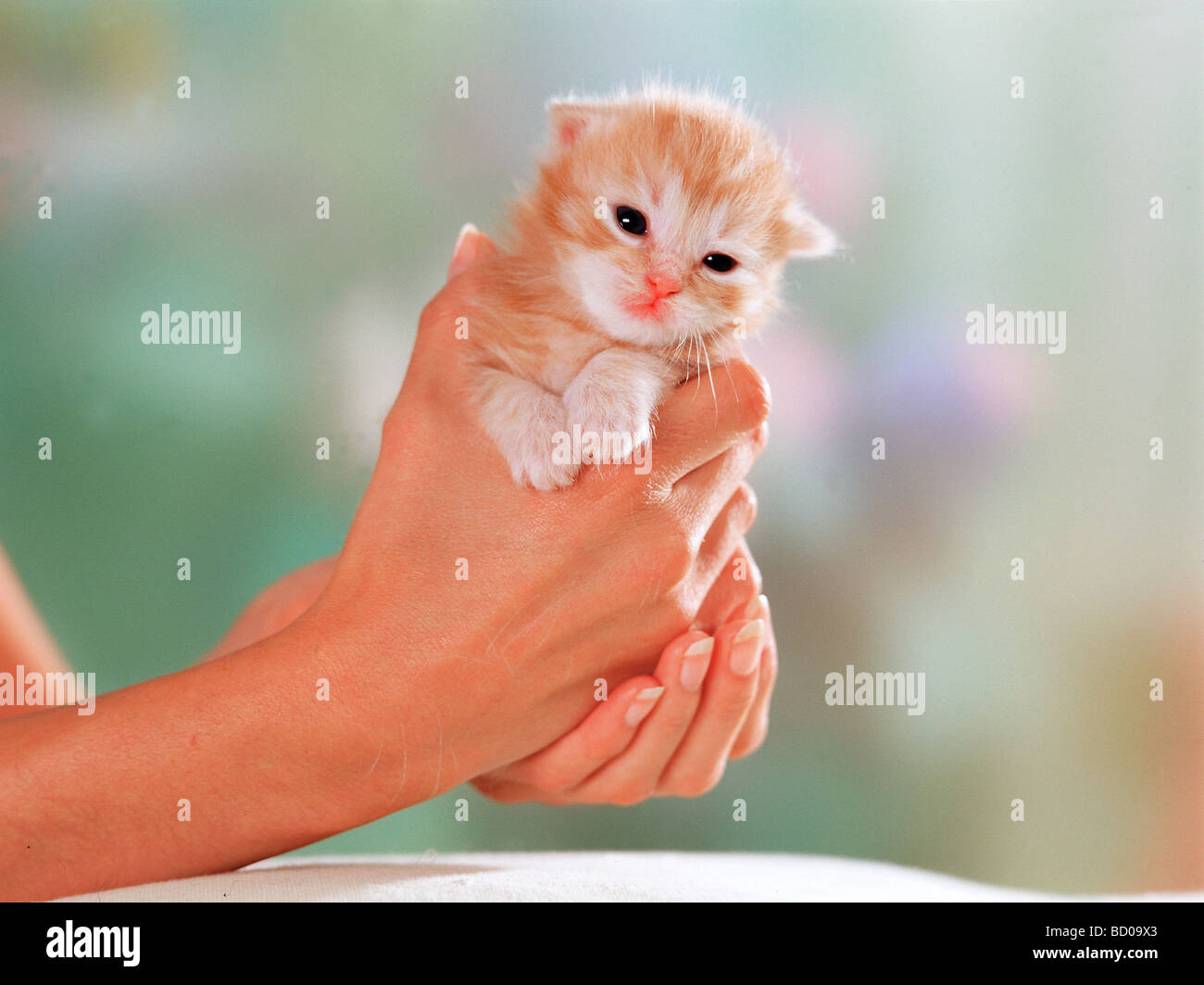 Hand bore hi-res stock photography and images - Alamy