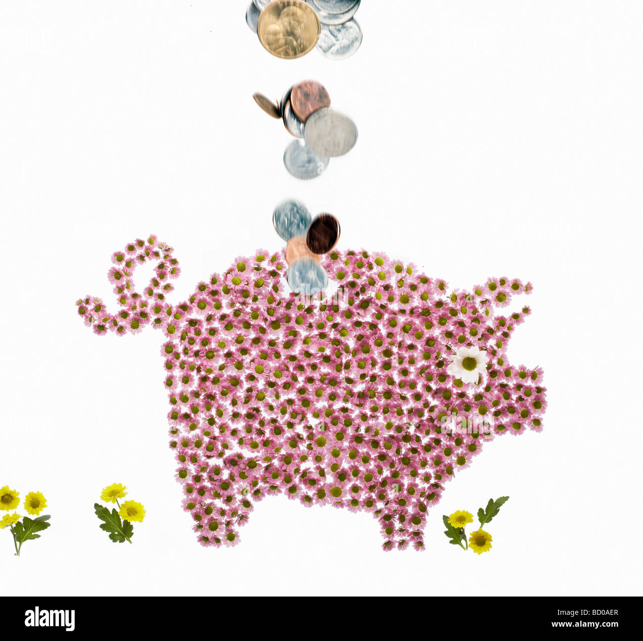 A piggy bank made of flowers with money Stock Photo - Alamy